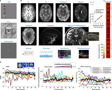 Overview Of Acquired Data A Auxiliary Fmri Experiments Data From The Download Scientific