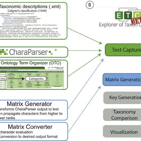 Diagram Of The Semi Automated NLP Parsing Method Used To Transform Download Scientific Diagram