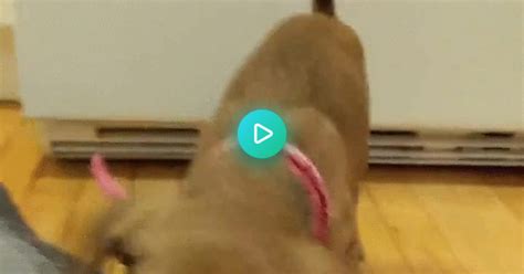 Lick On Imgur Lick On Imgur