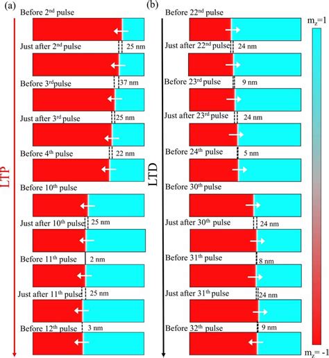 Device Without Defects A Magnetization Configuration Images ‘just