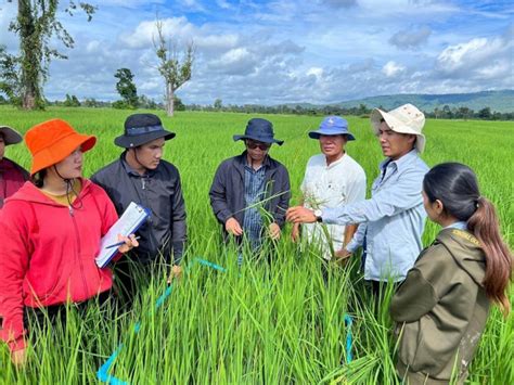 ក្រសួងកសិកម្ម ដាក់ពង្រាយនិស្សិតស្ម័គ្រចិត្ត២០០នាក់ ដើម្បីបំពេញការងារនៅតាមឃុំ សុីសុីថាមស៍