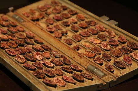 Edit Free Photo Of Cocoa Bean Roast Chocolate Cocoa Beans Needpix Com