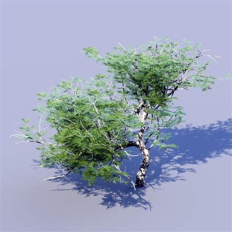 procgen in unity r unity3d