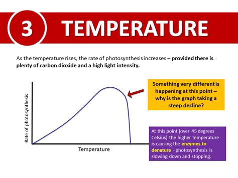 Limiting Factors And Greenhouse Design For Section 2e Edexcel Igcse Biology Plant Nutrition
