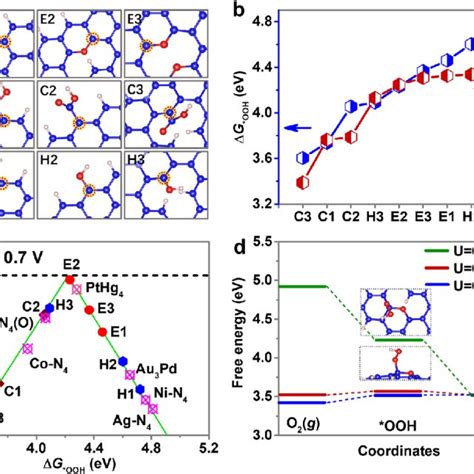 A The Carbon Configurations With Various Oxygen Functional Groups At Download Scientific