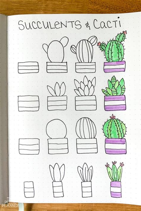Cacti Doodles And Succulents Step By Step ⋆ The Petite Planner