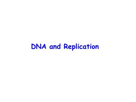 PPT DNA And Replication PowerPoint Presentation Free Download ID 3931343
