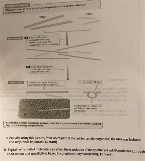 solved experiment question is the coding sequence in a gene