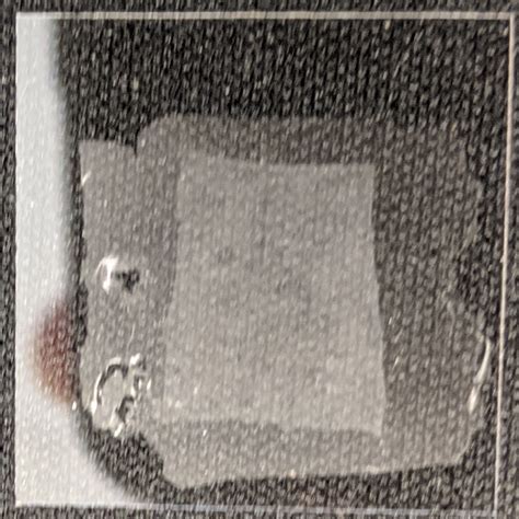 Hubmap Tissue Sectioning For Codex Specimens