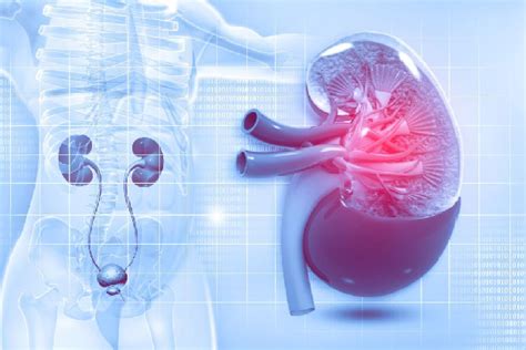 بخش اورولوژی فرتاک سلامت