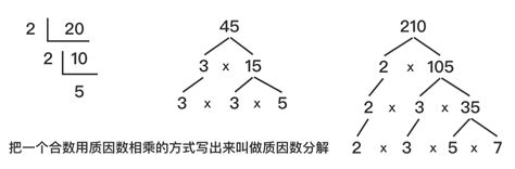 质因数分解算法详解C Java Go Python JS Dart Swift Rust等不同语言实现 刀法如飞 博客园