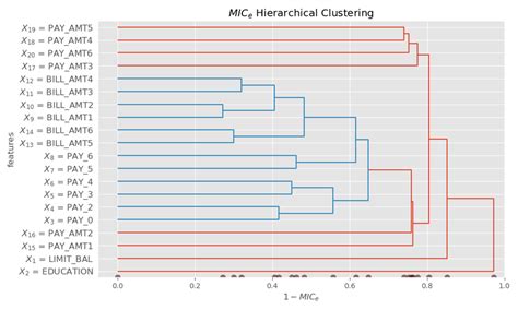 Mic Based Hierarchical Clustering For The Credit Default Dataset