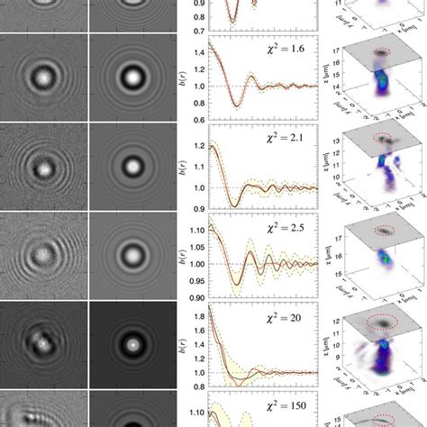 Influence Of Aggregate Morphology On Holographic Characterization
