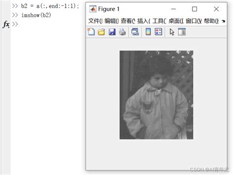 【数字图像处理matlab系列】使用数组索引进行简单的图像裁剪、二次取样操作 matlab图片数组 csdn博客