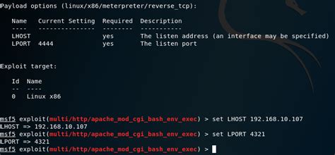 Why I Love Shellshock