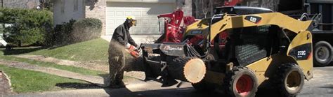 West Michigan Tree Service TOADS TREE SERVICE LLC