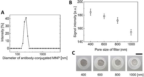 Effect Of The Pore Size Of The Membrane Filter On The Negative Control