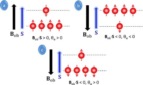 Schematic Description For Nuclear Spin Distribution During Sweeping Of Download Scientific