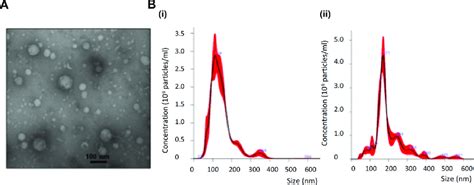 Viable Pneumococci Produce Evs A Representative Transmission