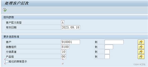 sap sd客户层次结构 sap的代理有哪些级别 csdn博客