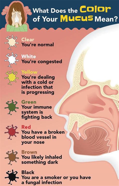 Phlegm Color Meaning
