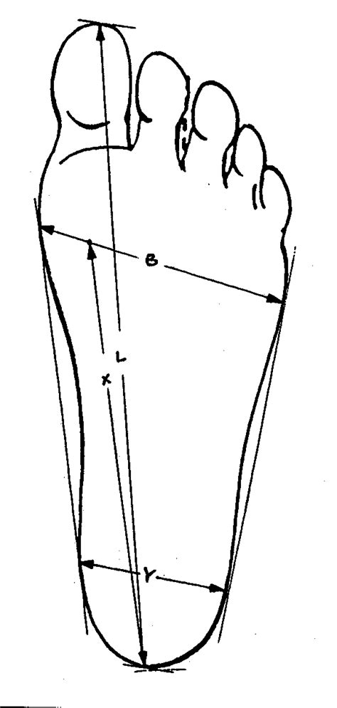 Various Foot Measurements Download Scientific Diagram