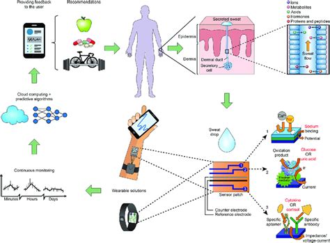 wearable sensor patch integrating multiple technologies for sweat