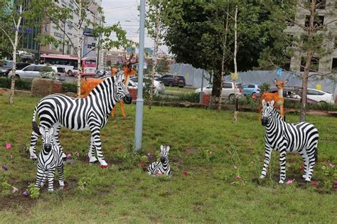 Хан Уул дүүрэг жишиг цэцэрлэгт хүрээлэн тэй боллоо