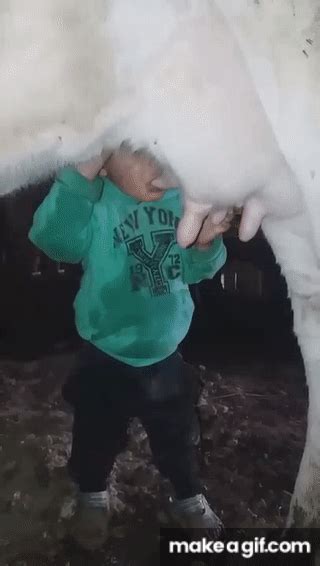 Drinking Milk  Funny