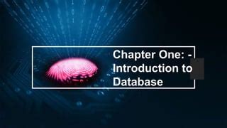 Introduction To Database Chapter One DB1 Pptx