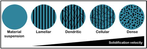 Different Ice Crystal Morphologies In Unidirectional Freezing At The Download Scientific