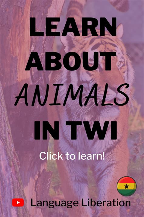 learn twi with twi english subtitles artofit