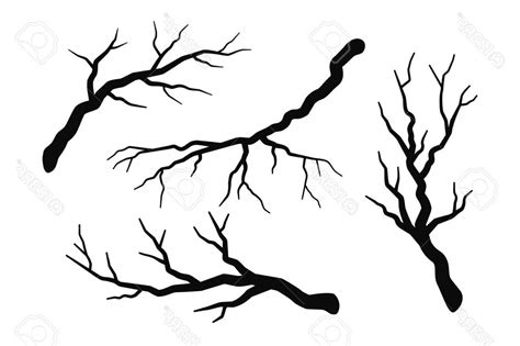 Branch Vector At Vectorified Collection Of Branch Vector Free For