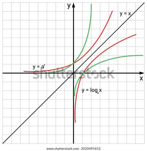 Graph Logarithmic Function Exponential Function Mathematic Stock Vector Royalty Free