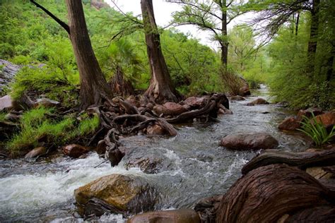 Pasa Una Tarde En El Río Cuchujaqui Escapadas Por México Desconocido