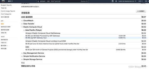 Aws 中文入门开发教学 22 Nat 还是真贵 注意了，不要无意中被氪金阿里云 Nat 成本太贵 Csdn博客