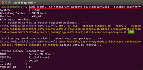 Linux Server Performance Monitoring With Netdata LinuxBabe