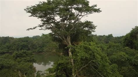 Juliana Teixeira On Linkedin Dia Da Mulher