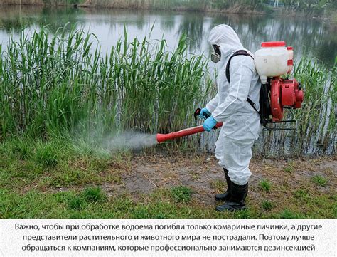 Чем опасна обработка участка от комаров: степень вреда для человека и ...