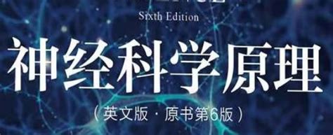 化学突触简介：离子型受体比较快，代谢型受体可调节 《神经科学原理》第十一章：突触结构概述 知乎