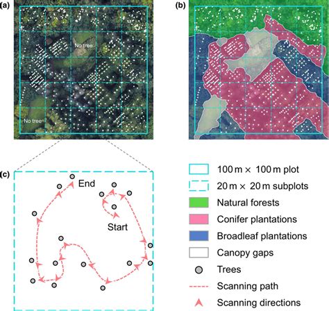 Overview Of The Study Plot A B The 100 M 100 M Plot Consisting Of