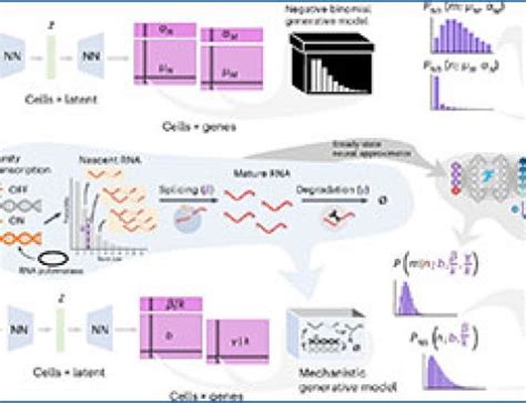 Qorts A Comprehensive Toolset For Quality Control And Data Processing Of Rna Seq Experiments