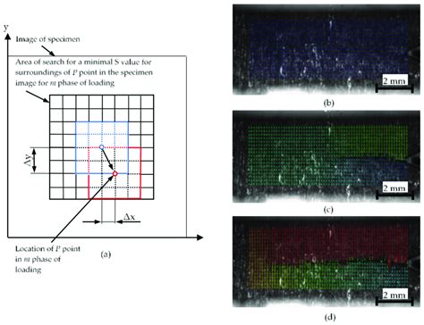 Analysis Of The Specimen Image With The Use Of A Digital Correlation