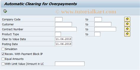 Fnq8 Sap Tcode Automatic Clearing For Overpayments