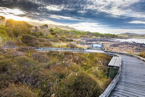 What To Do In Bluff New Zealands Surprising New Hot Spot Nz Herald
