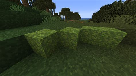 Biome Moss Minecraft Texture Pack