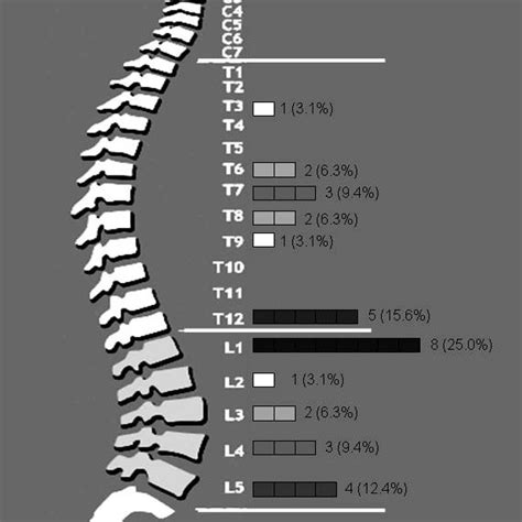 Computed Tomography Guided Vertebral Biopsy Level Not Considering Download Scientific Diagram