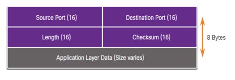 Tcp Udp Dan Protocol Analyzer Learnnetlab