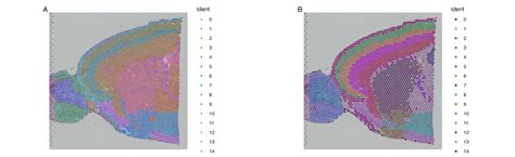 Plotting 5 Spatial Plotting Functions • Sccustomize