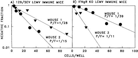 Normal Cd8⁺ T Cell Memory Responses To Lcmv In 129 Sev A And Ifn γr